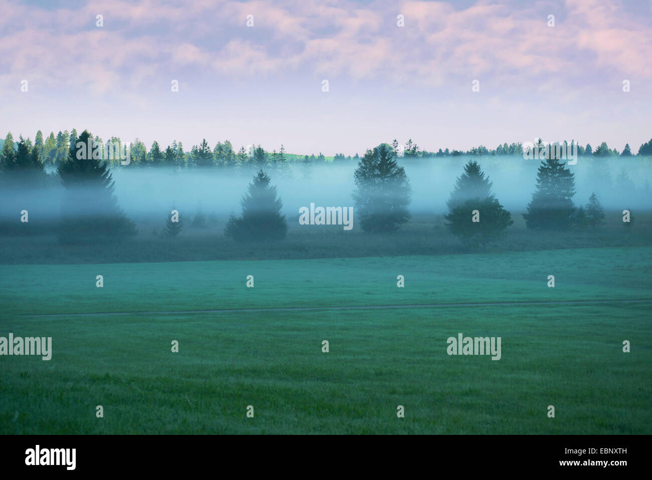 Moring mood hi-res stock photography and images - Alamy