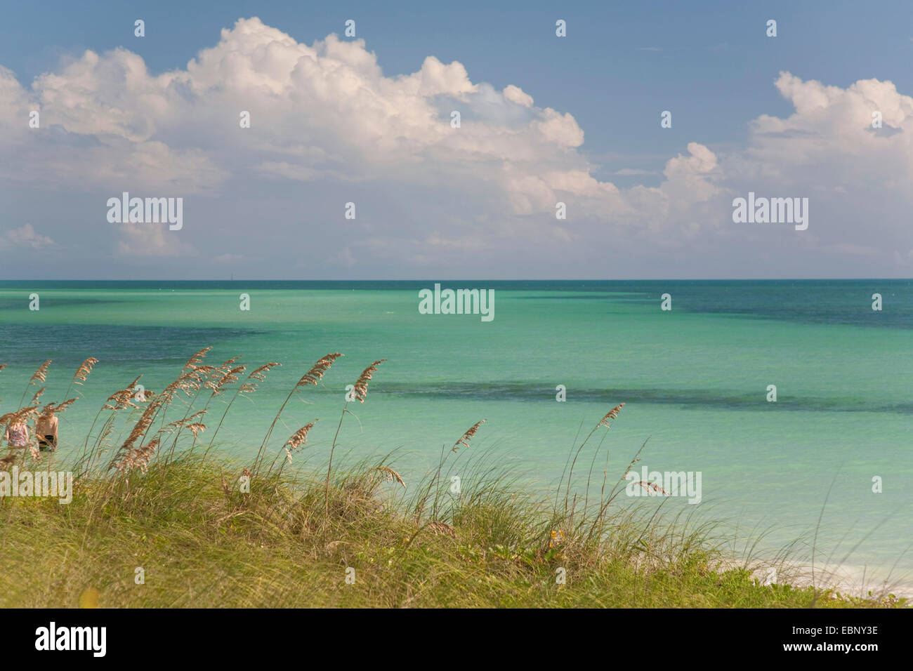 turquoise-blue sea of Florida Keys, USA, Florida, Bahia Honda State ...