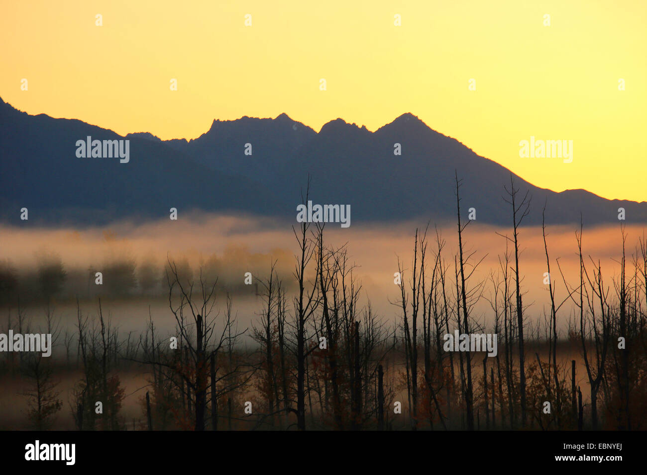 Wasilla hi-res stock photography and images - Alamy