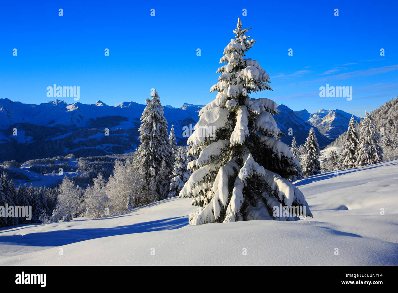Central Swiss Alps in winter, Switzerland Stock Photo - Alamy