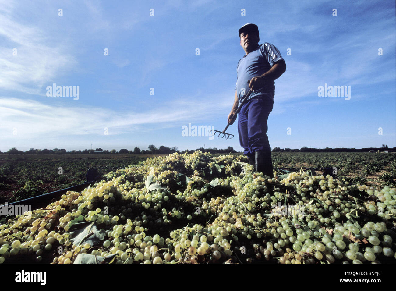 Tomelloso spain hi-res stock photography and images - Alamy