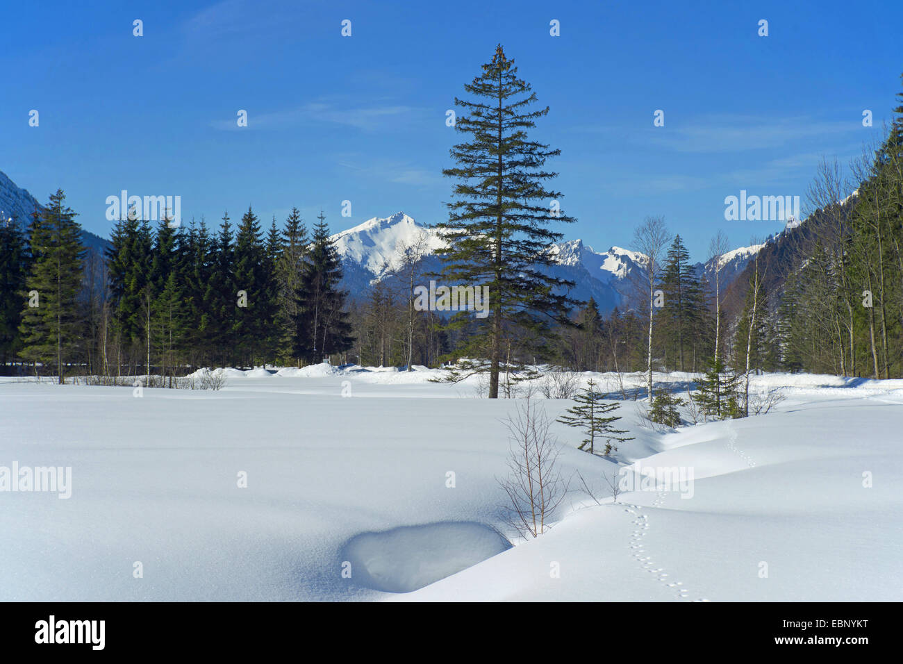 Ammer source hi-res stock photography and images - Alamy