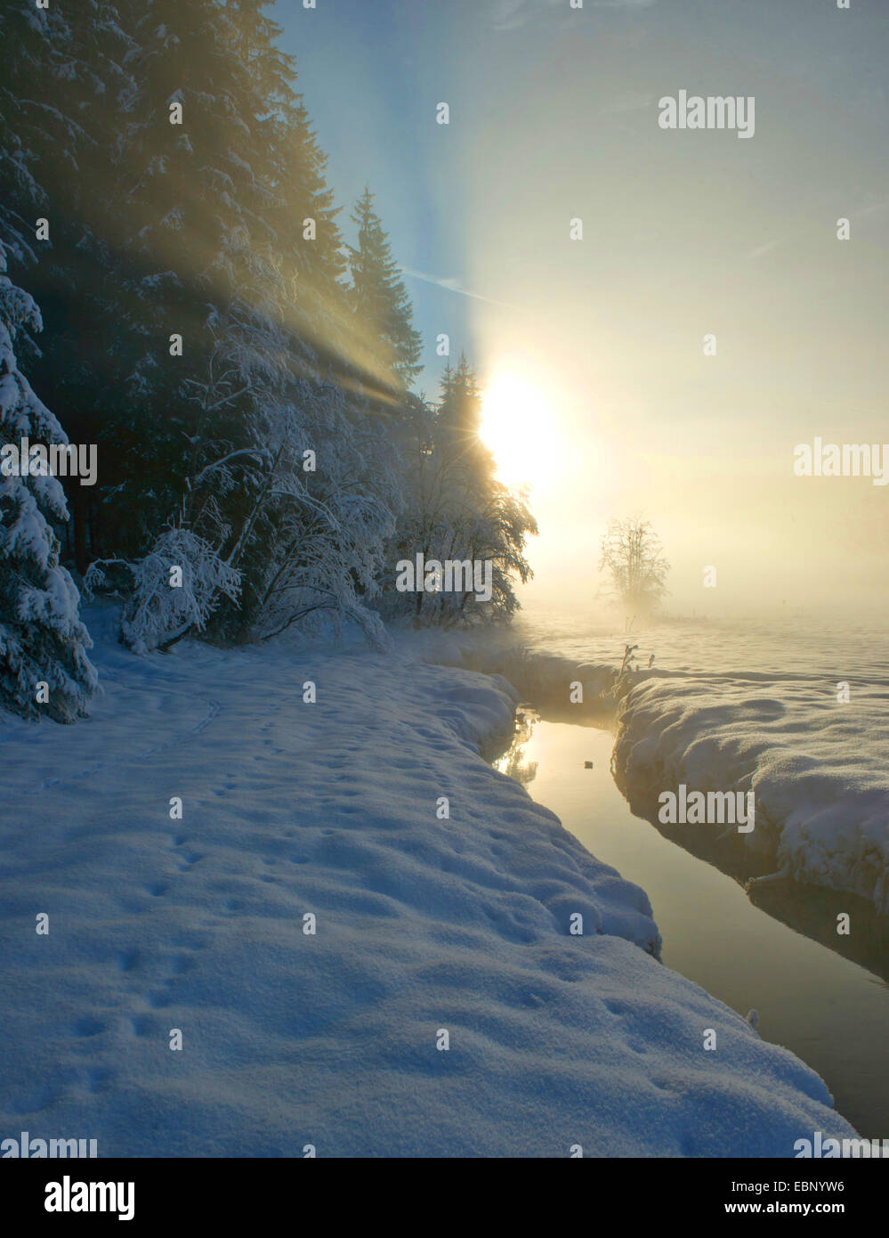 Early morning sun beam hi-res stock photography and images - Alamy