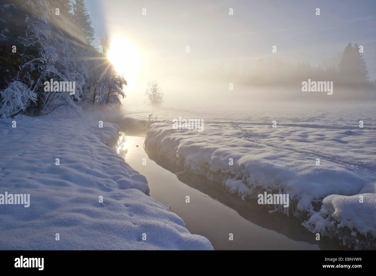 Early morning sun beams through hi-res stock photography and images - Alamy