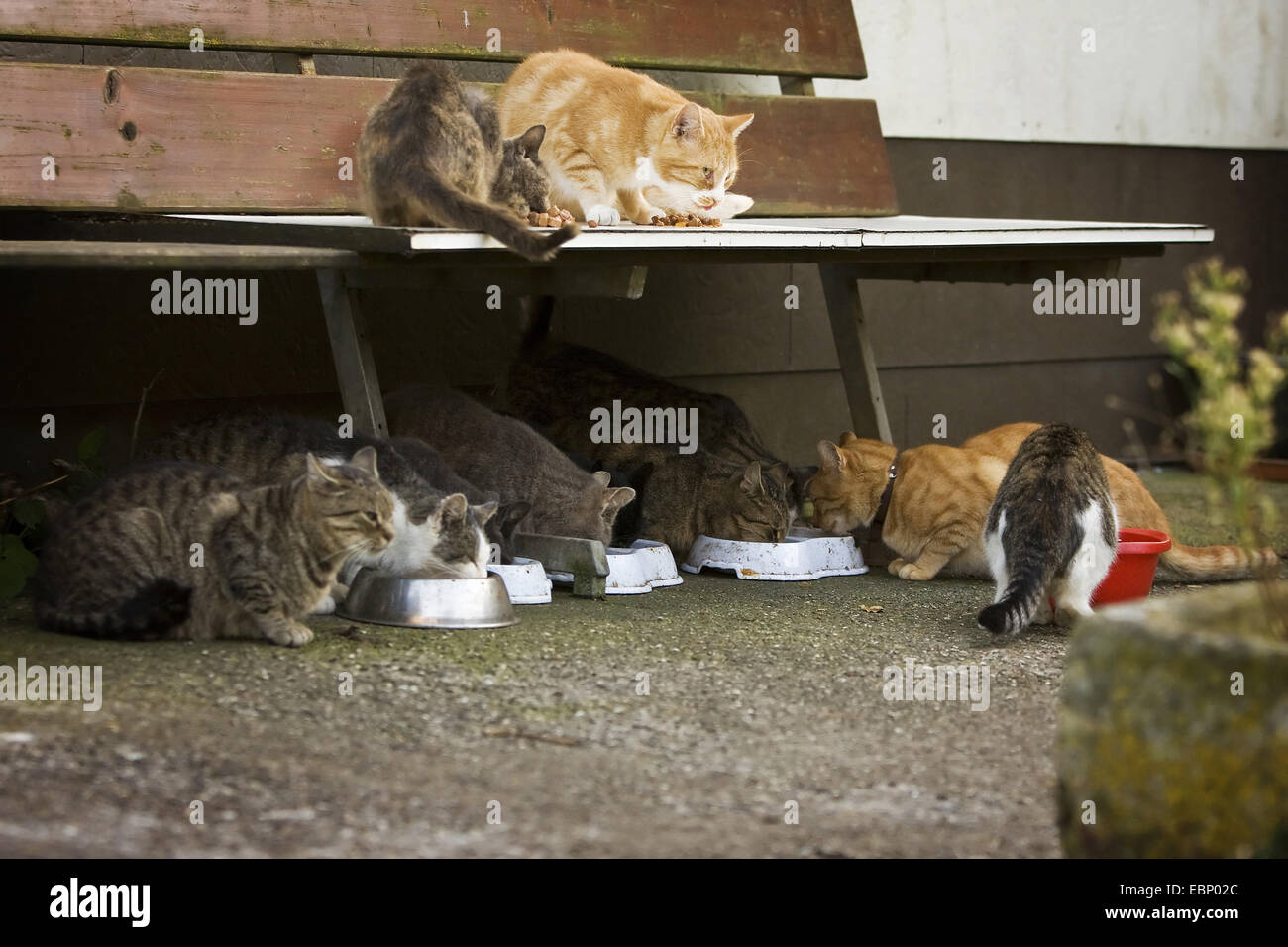 Sitting at a bench hi-res stock photography and images - Alamy