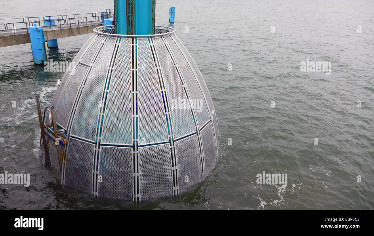 diving bell for tourists in the Baltic Sea, Germany, Mecklenburg ...