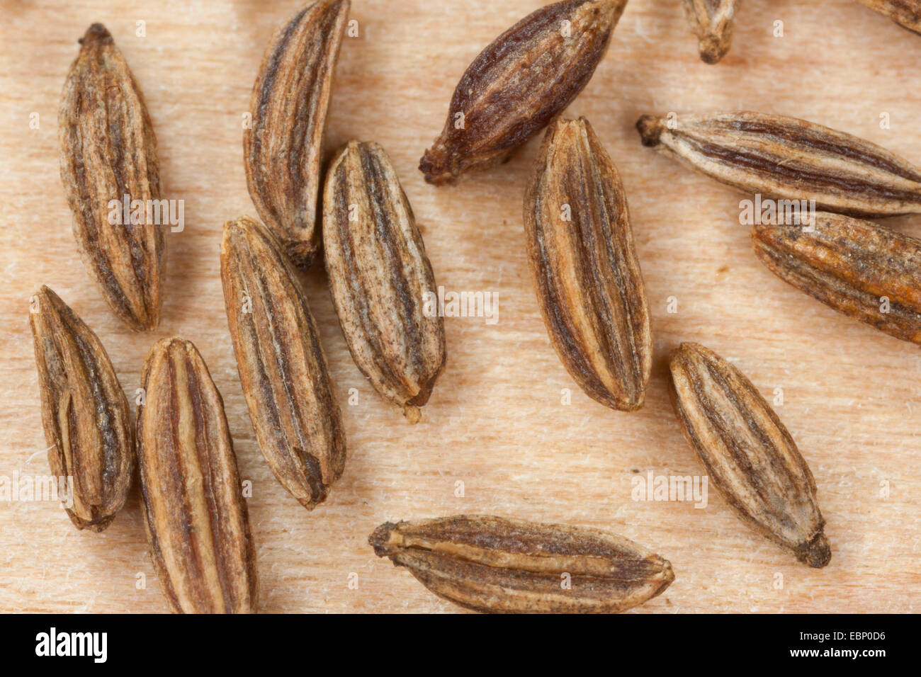 common caraway (Carum carvi), kernels Stock Photo - Alamy