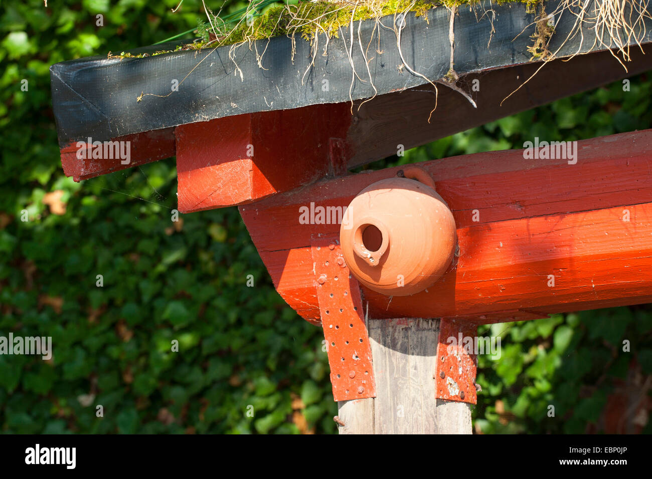 clay nesting box, Germany Stock Photo - Alamy