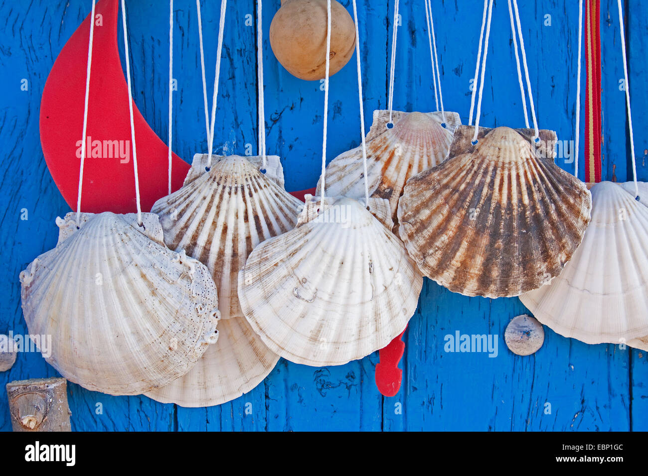 Way of St. James, pilgrims shells in front of a blue door, Spain ...