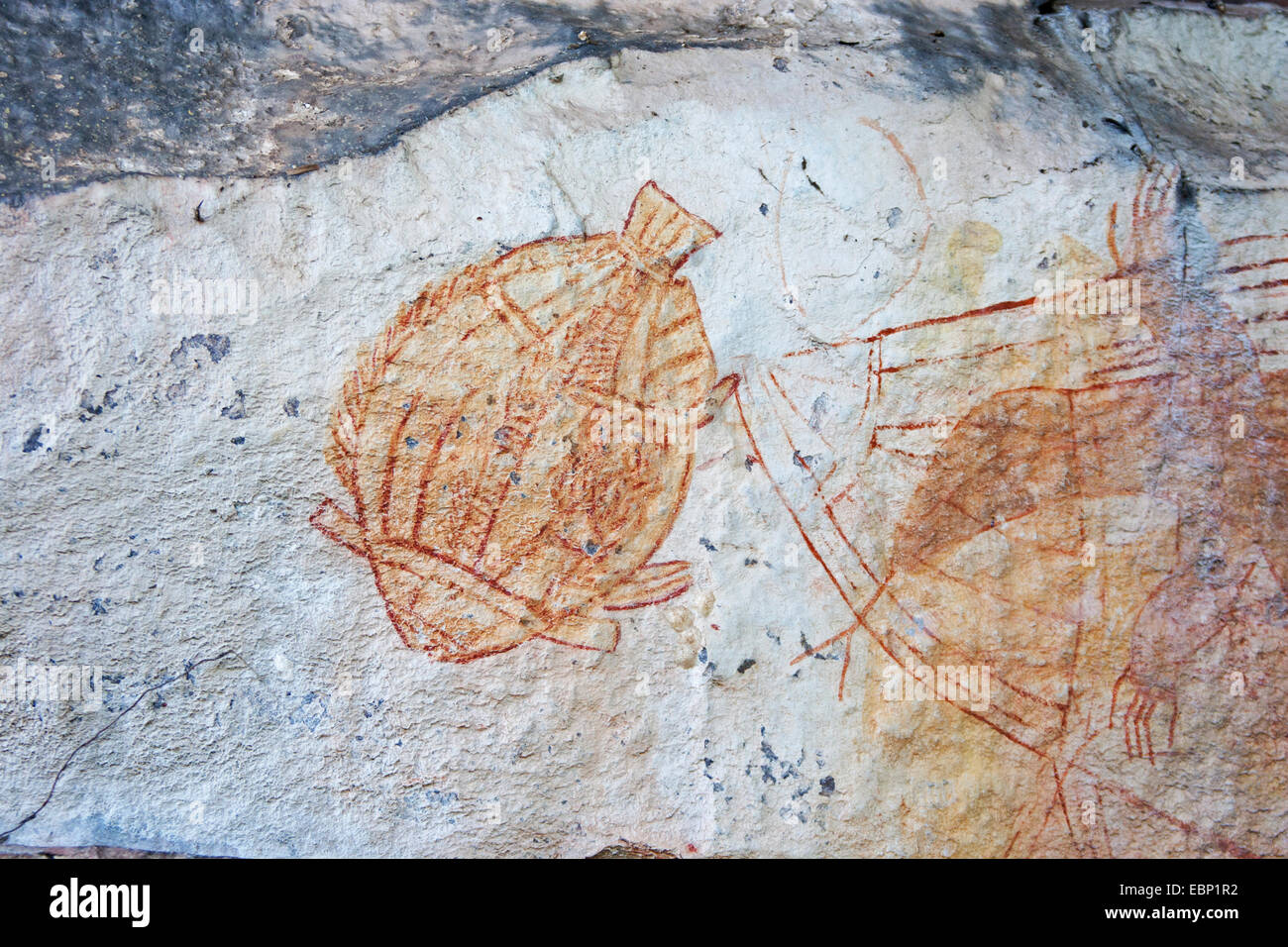 Aboriginal cave art in Kakado National Park, Northern Territory ...