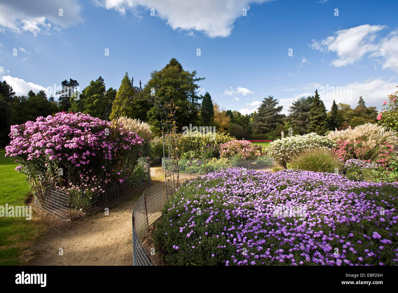 flowerbed in the park of Lembeck castle, Germany, North Rhine ...