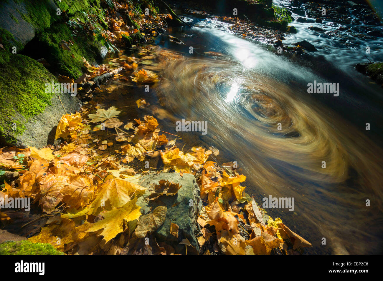 Weisse elster river hi-res stock photography and images - Alamy