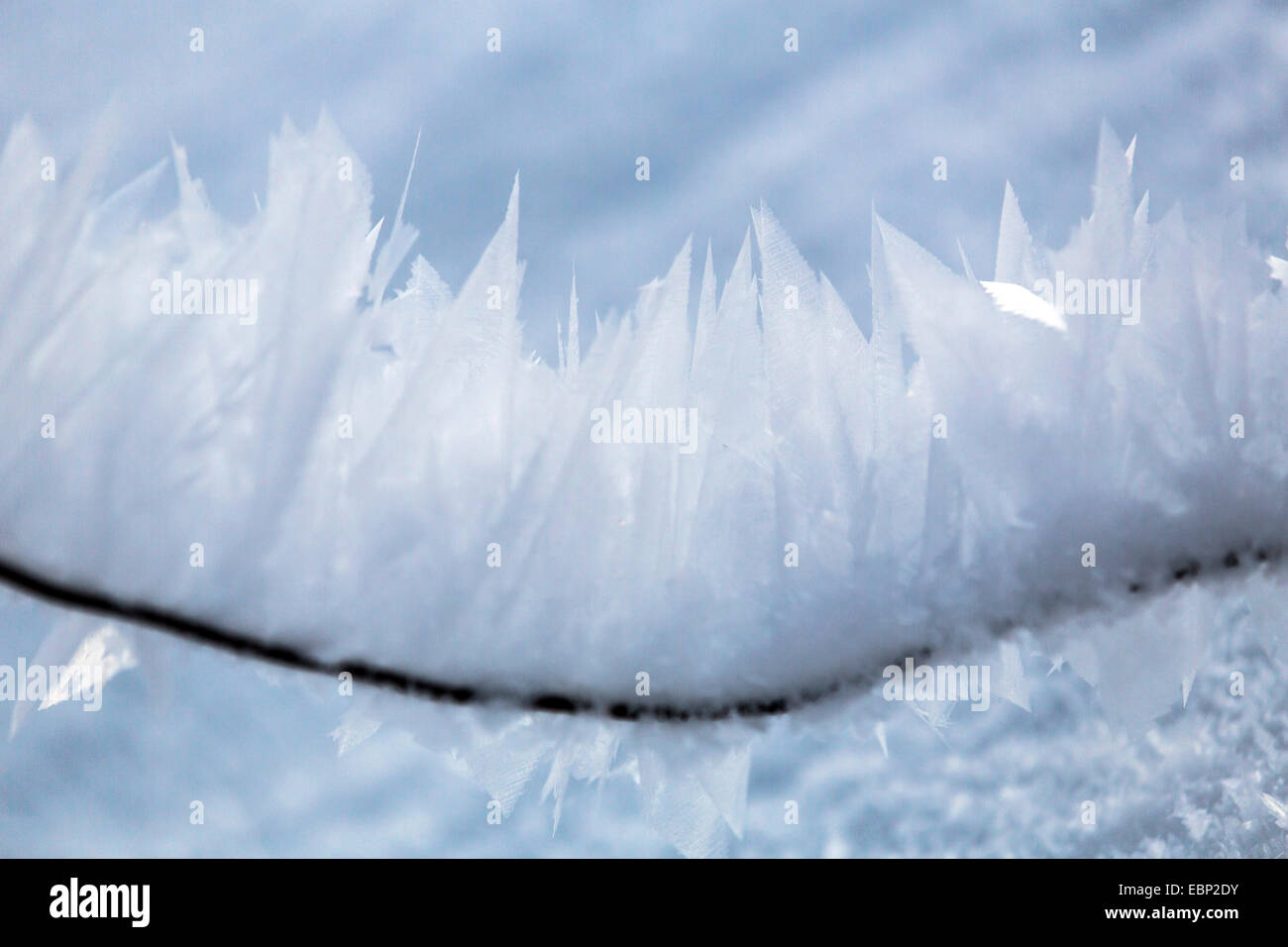 Sharp frost hi-res stock photography and images - Alamy