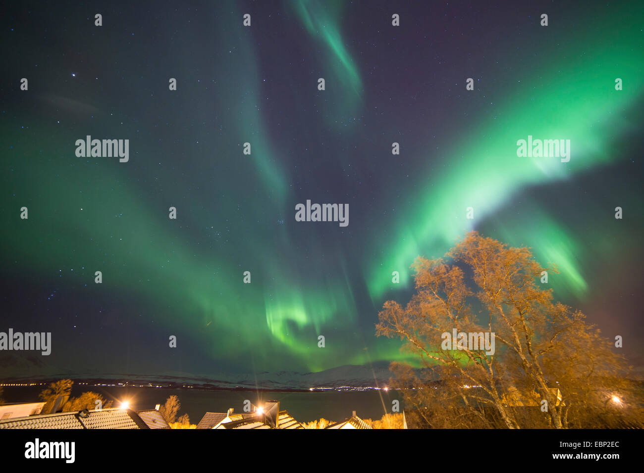 Taurus orion jupiter hi-res stock photography and images - Alamy