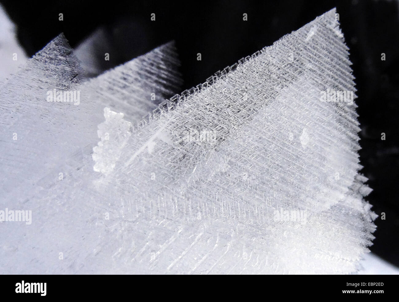 Sharp frost hi-res stock photography and images - Alamy