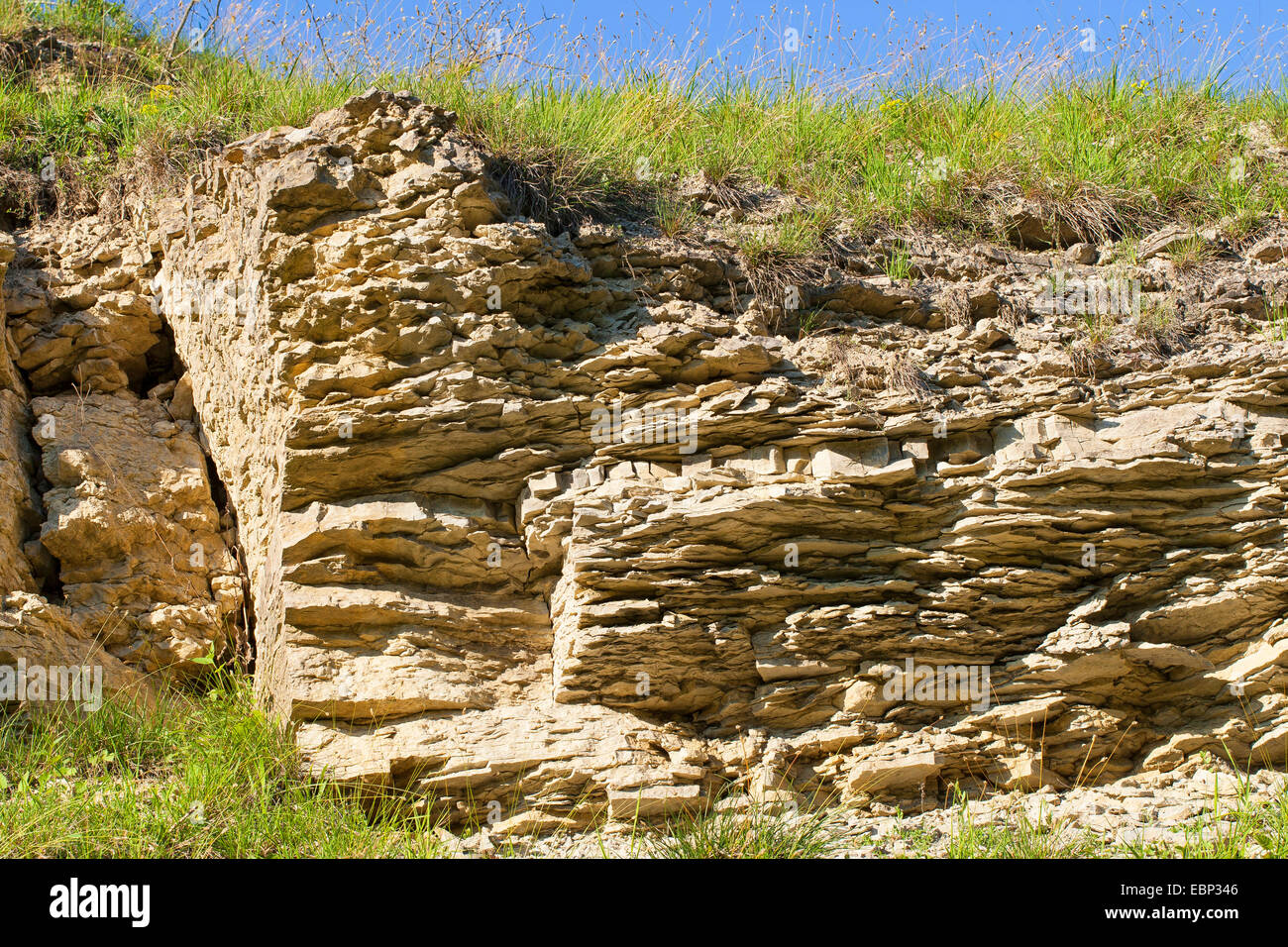 meadow on Muschelkalk, Germany, Thueringen, Naturschutzgebiet Jonastal ...