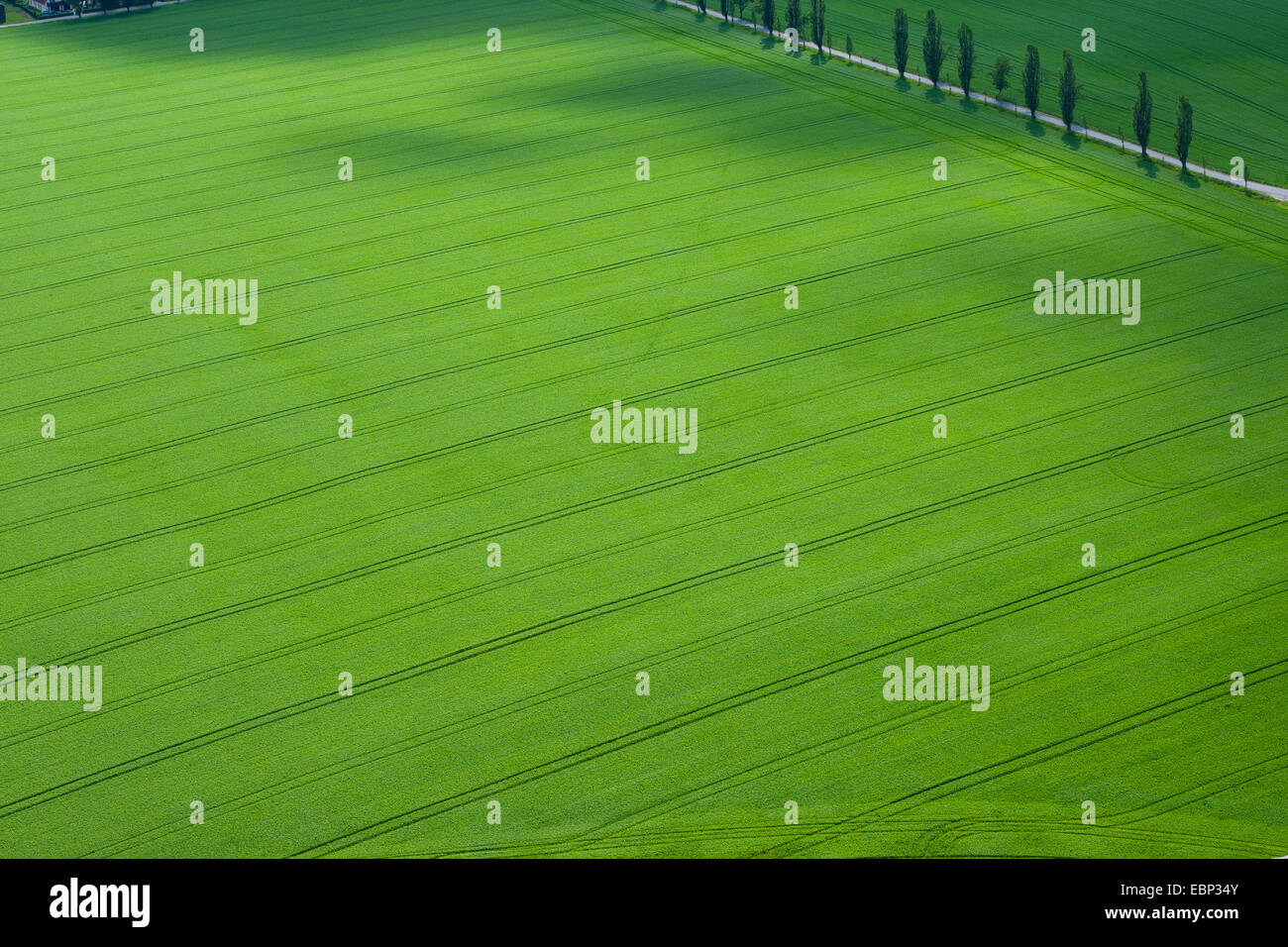 aerial view to green field landscape, Germany Stock Photo - Alamy