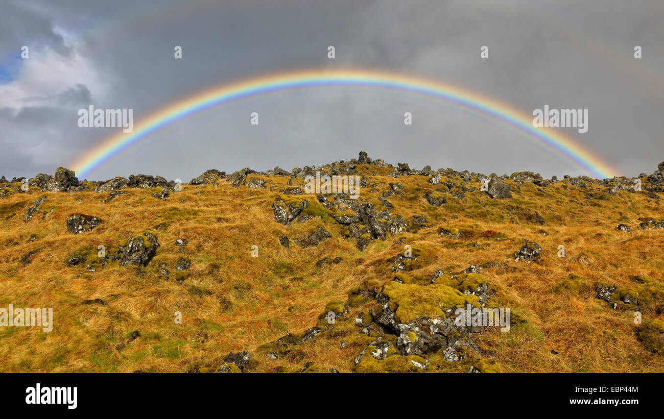 rainbow over a field of lava covered with grass and lichens, Iceland ...