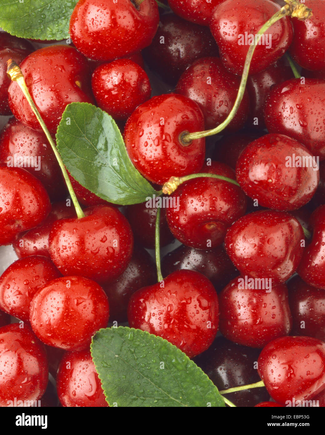Edible cherry tree hi-res stock photography and images - Alamy