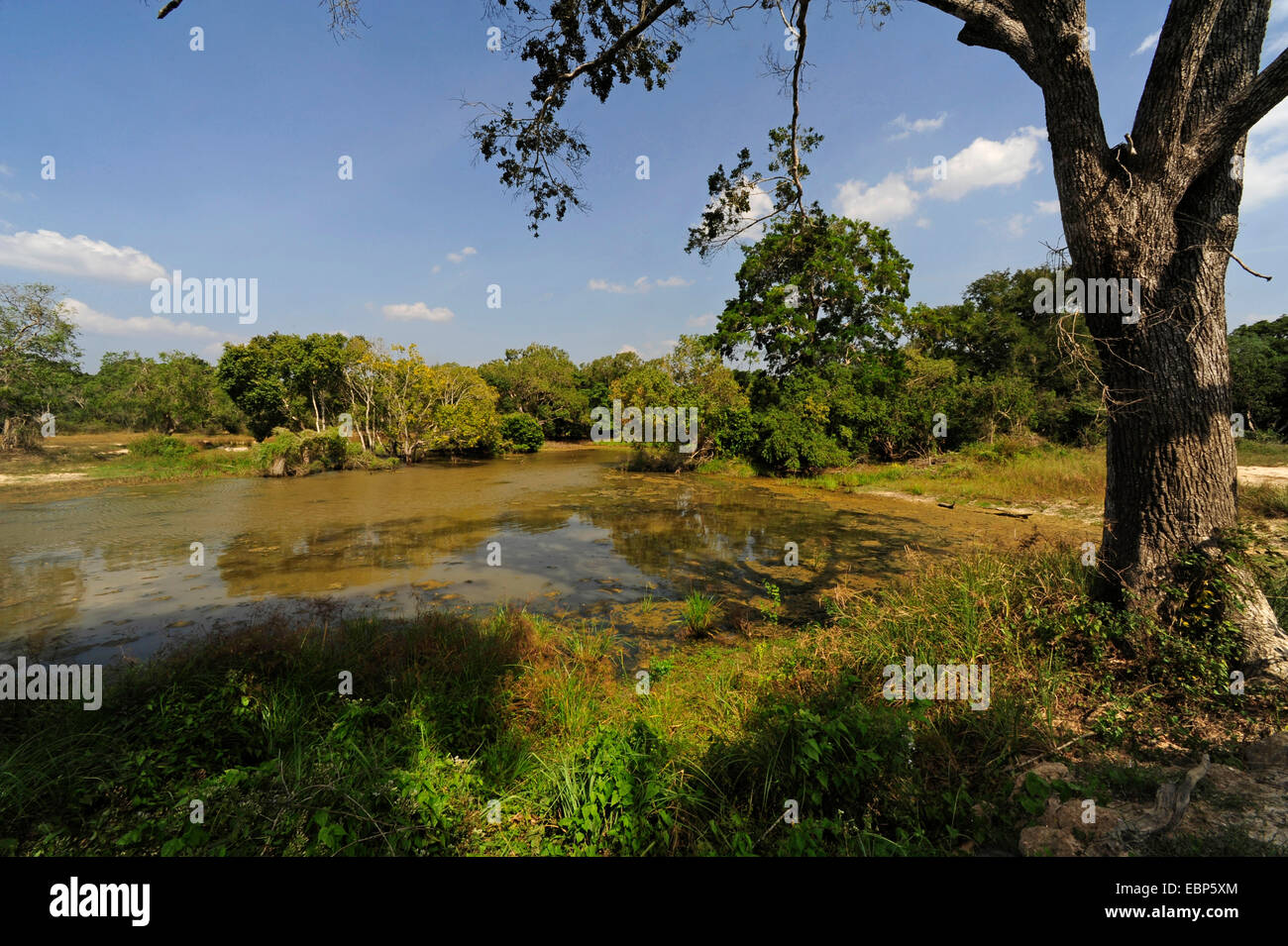 Wilpaththu National Park
