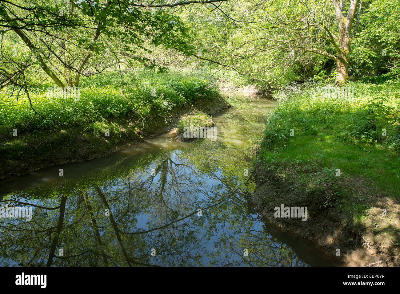 Link river trail hi-res stock photography and images - Alamy