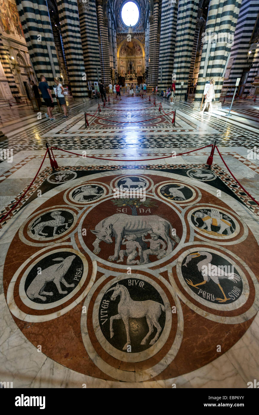 The She-Wolf of Siena, mosaic floor in Siena Cathedral, Duomo di Siena ...