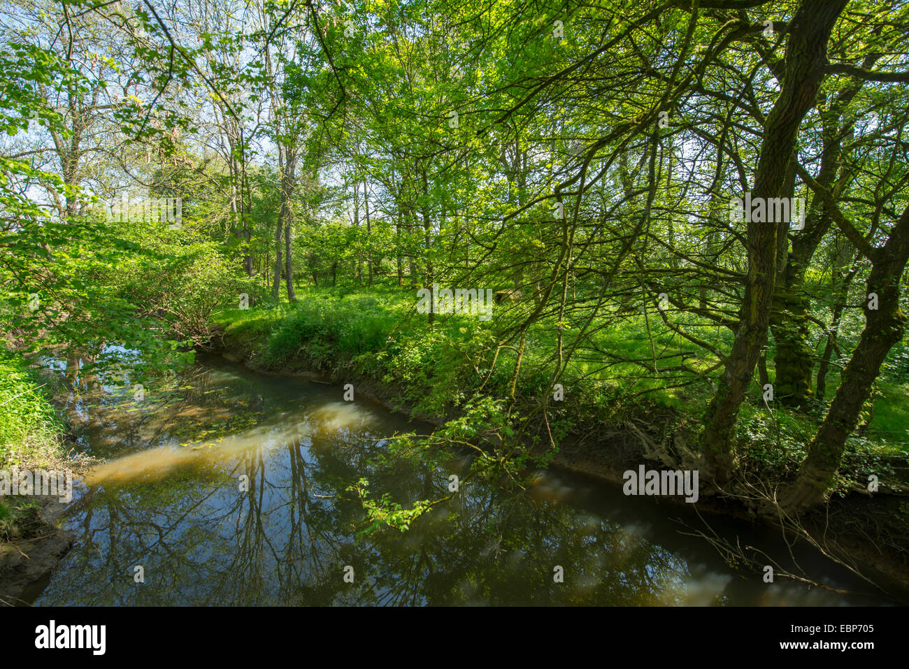 Link river trail hi-res stock photography and images - Alamy