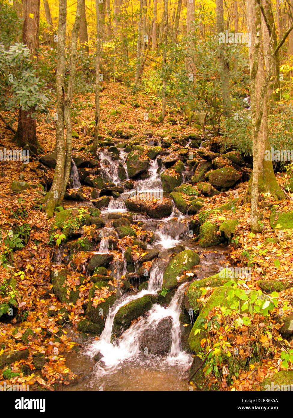 Great smoky mountains national park hi-res stock photography and images ...