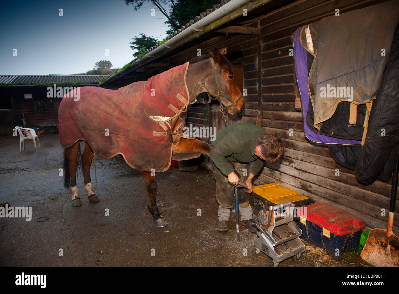 Farrier, Mike Moss, Godshill, Isle of Wight, England, UK Stock Photo ...