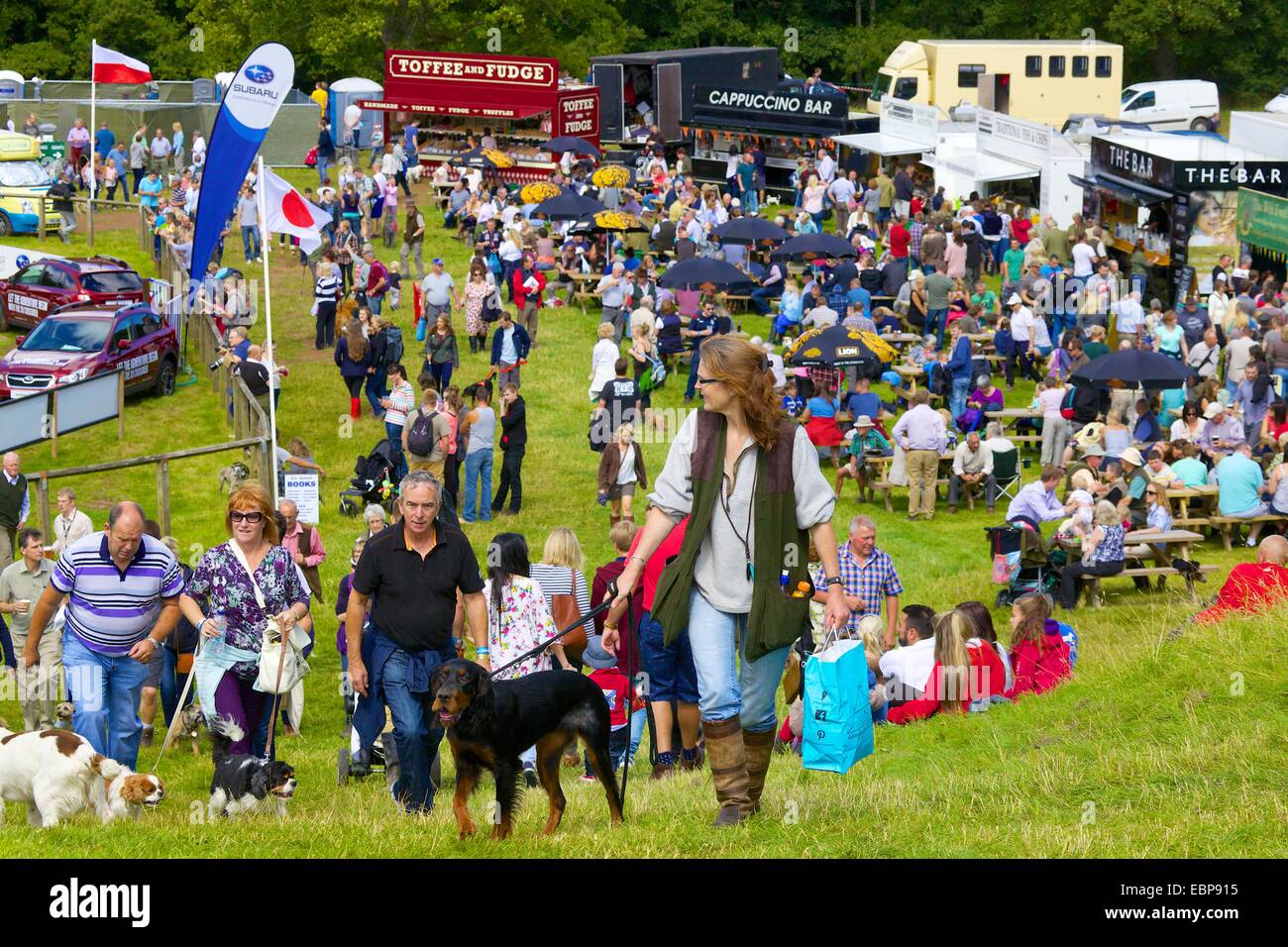 Male dog crowd hi-res stock photography and images - Alamy