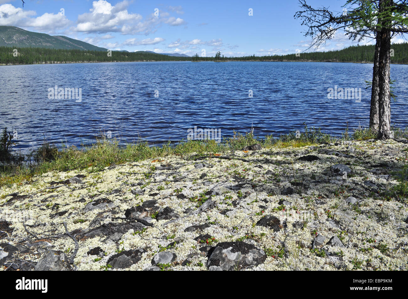 Water summer landscape surrounding the river Suntar in the Highlands of ...