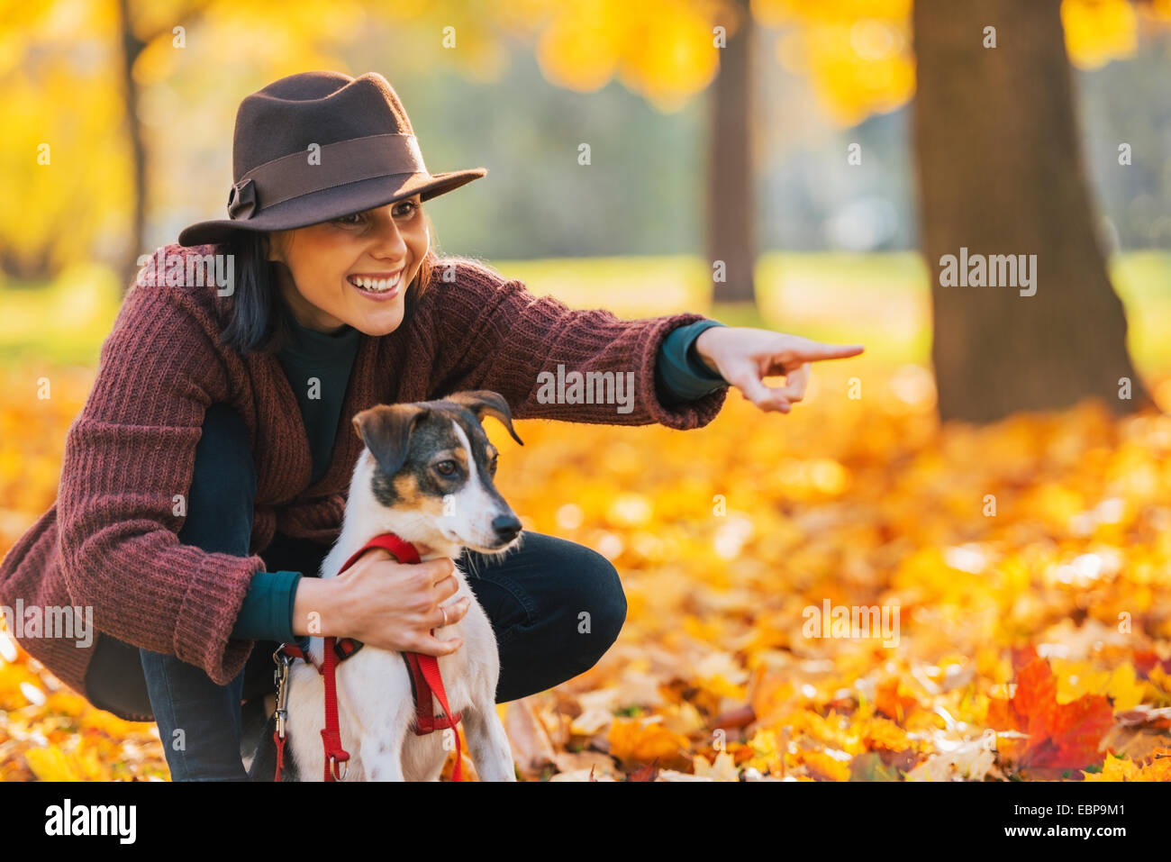 Happy young woman dog outdoors in autumn Stock Photo - Alamy