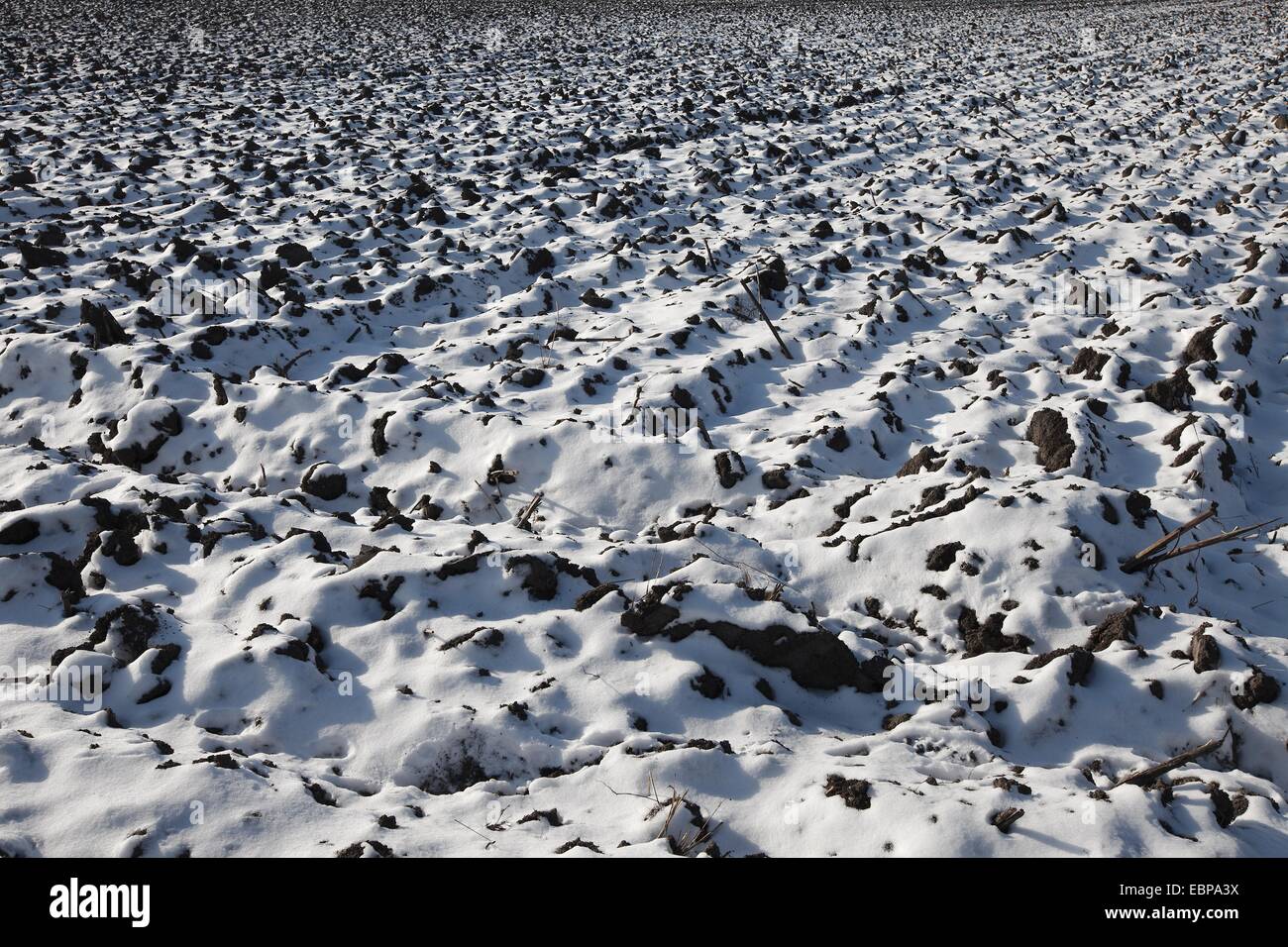 Field ground cover hi-res stock photography and images - Alamy