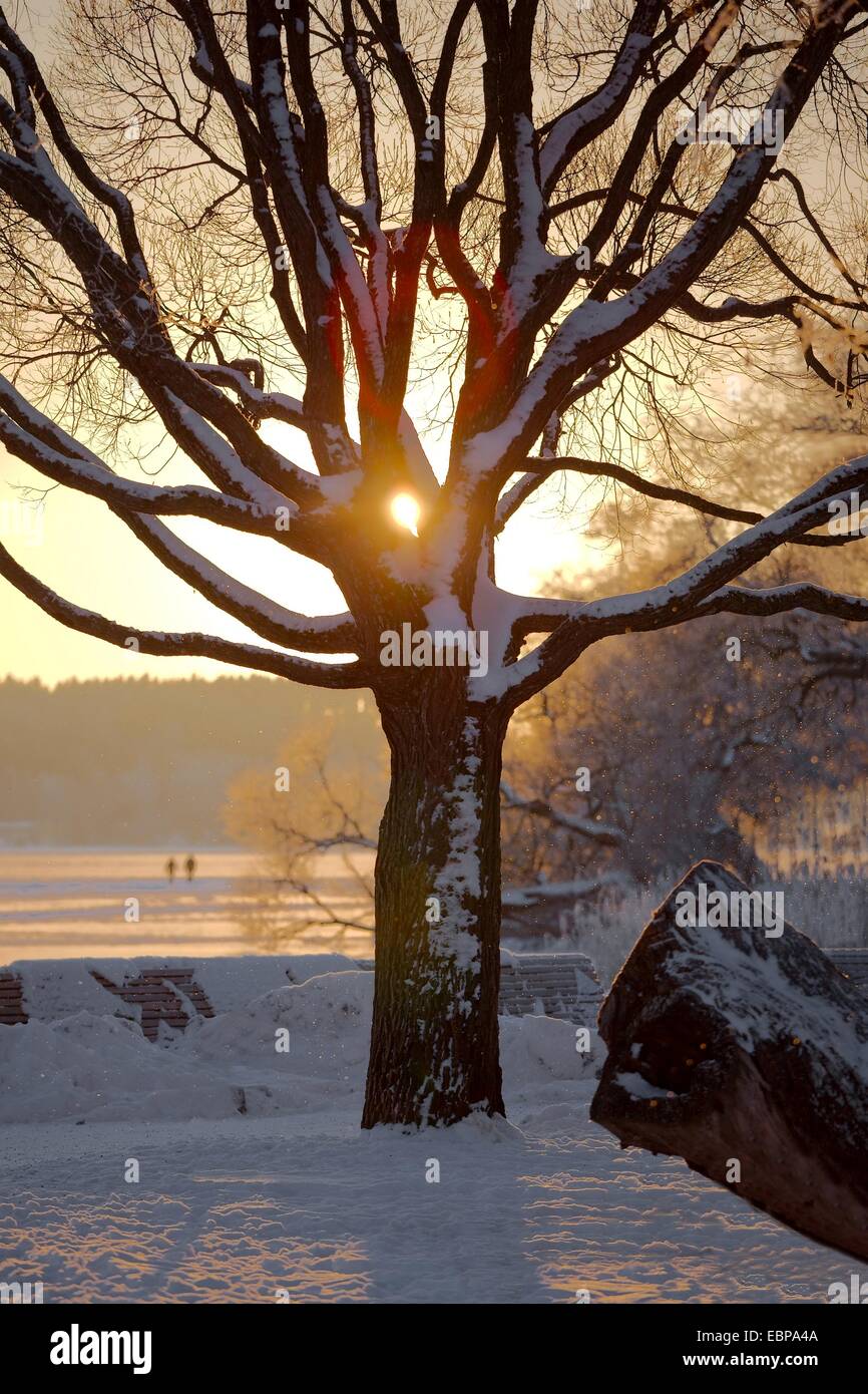 Outdoor winter setting hi-res stock photography and images - Alamy