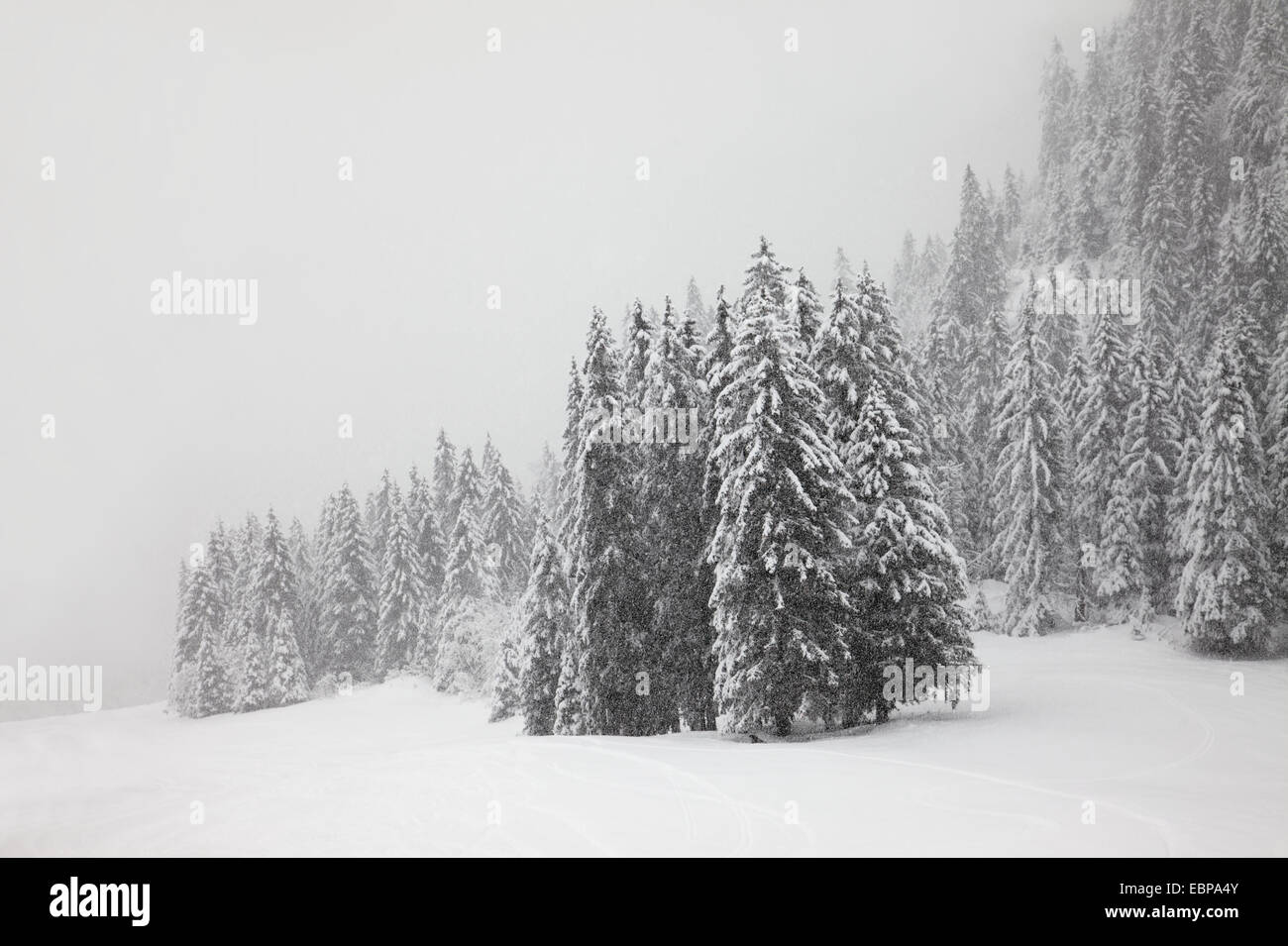 Gloom winter hi-res stock photography and images - Alamy