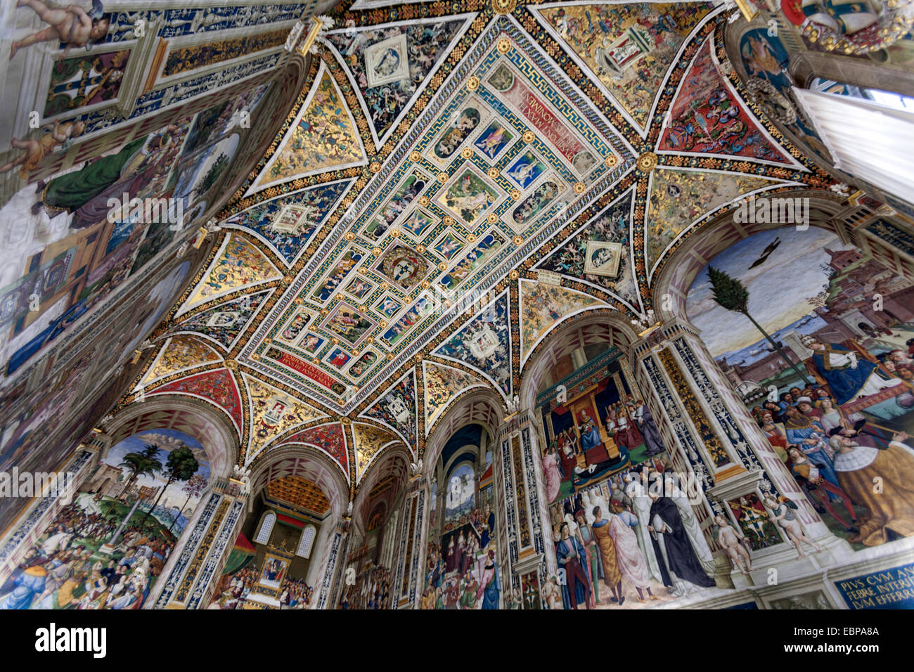 Piccolomini Library ceiling Siena Cathedral, Duomo di Siena, Tuscany ...