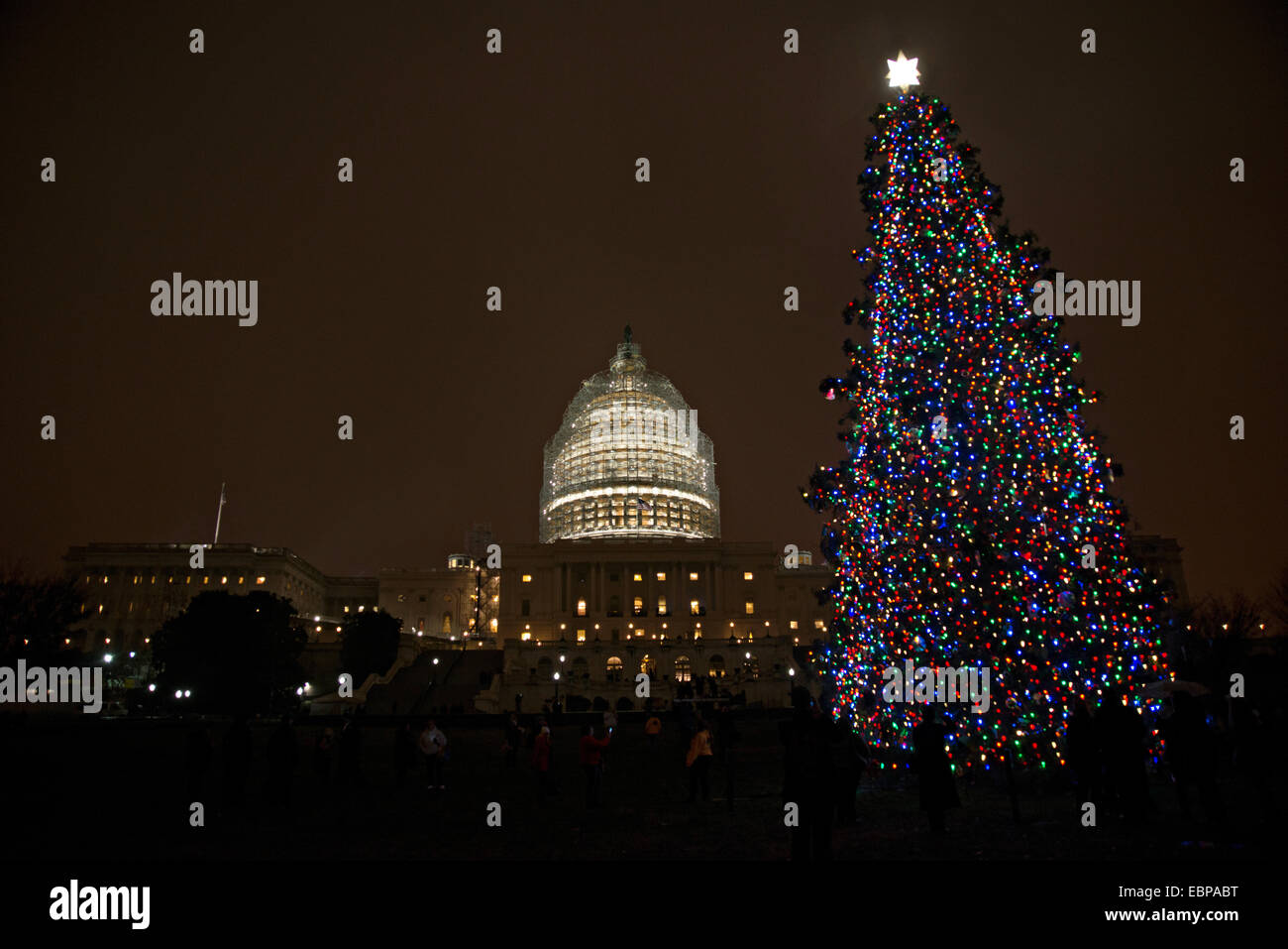 The US Capitol Christmas tree with the dome covered in scaffolding ...