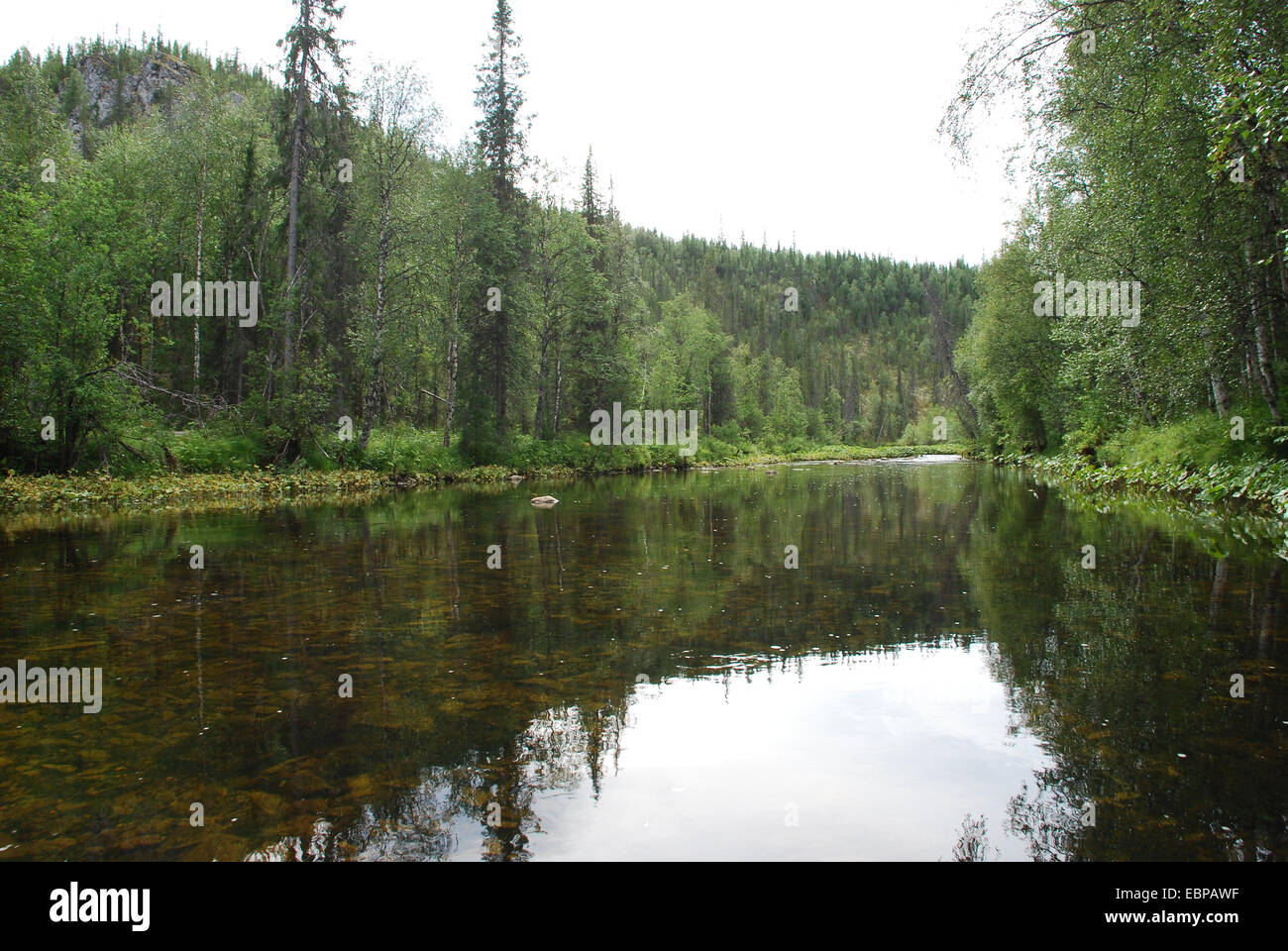 Rocks on the river Big Sarjuga. Virgin Komi forests, taiga in the Ridge ...