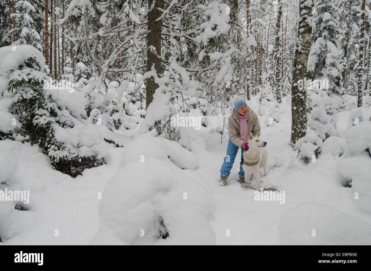 The woman with a dog on walk in a winter wood Stock Photo - Alamy