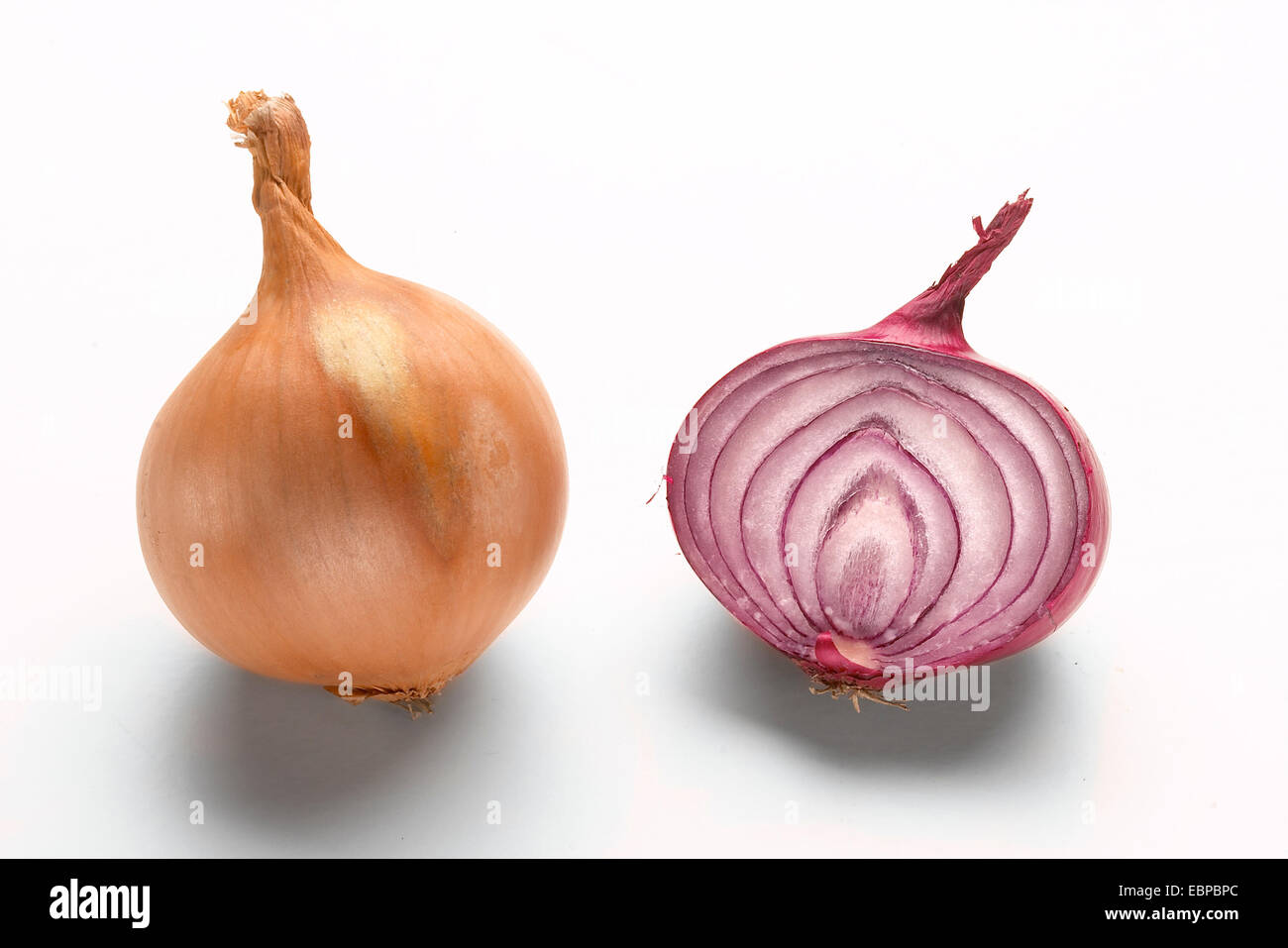 Yellow and red onion on a white background Stock Photo - Alamy