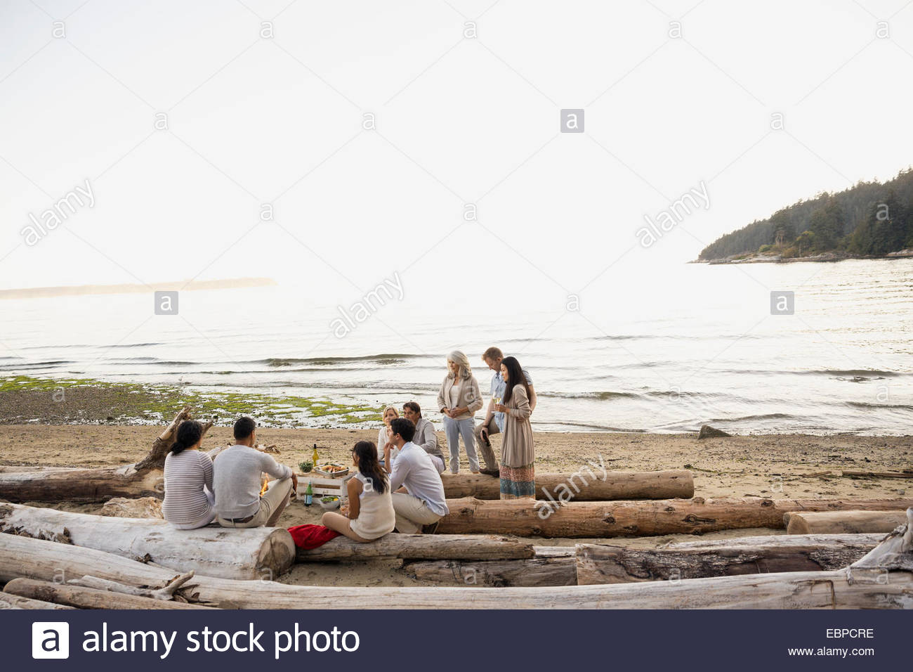 Friends enjoying clam bake on beach Stock Photo - Alamy