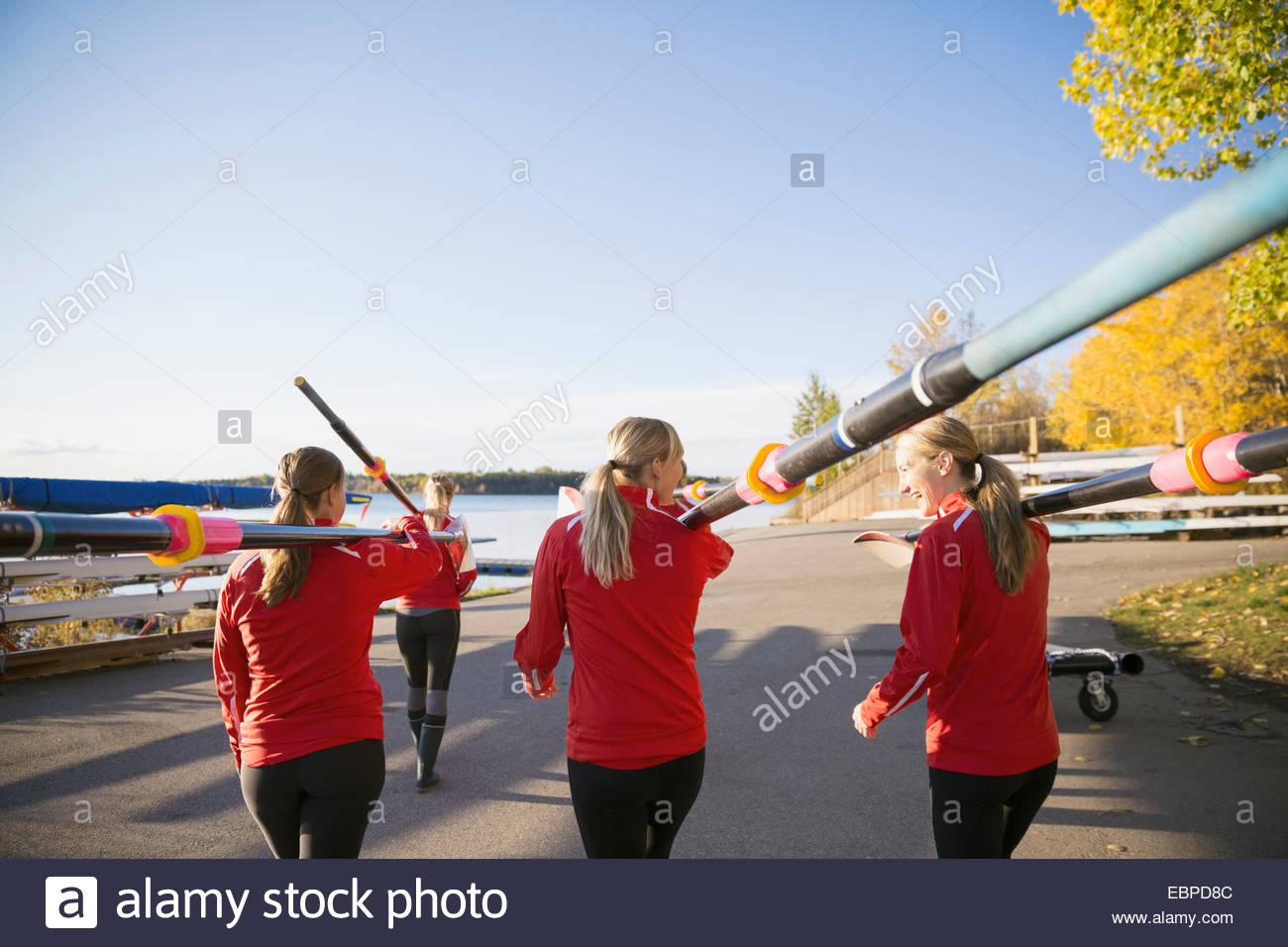 Rear oar hi-res stock photography and images - Alamy