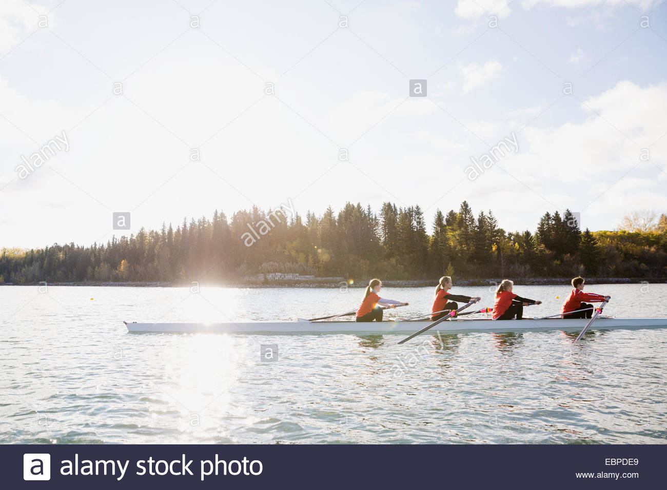 Rowing team in scull on hi-res stock photography and images - Alamy