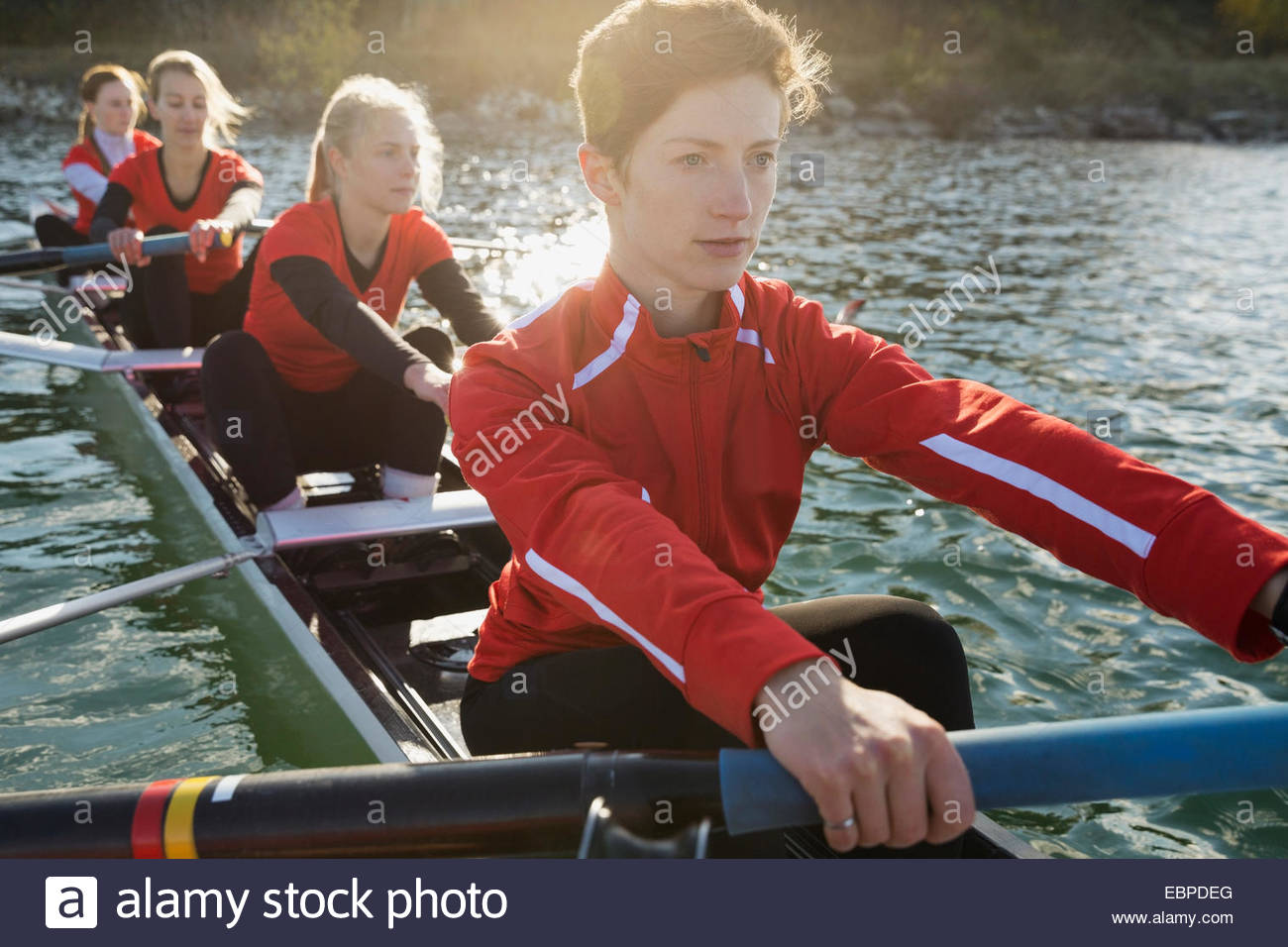 Women rowing as a team hi-res stock photography and images - Alamy