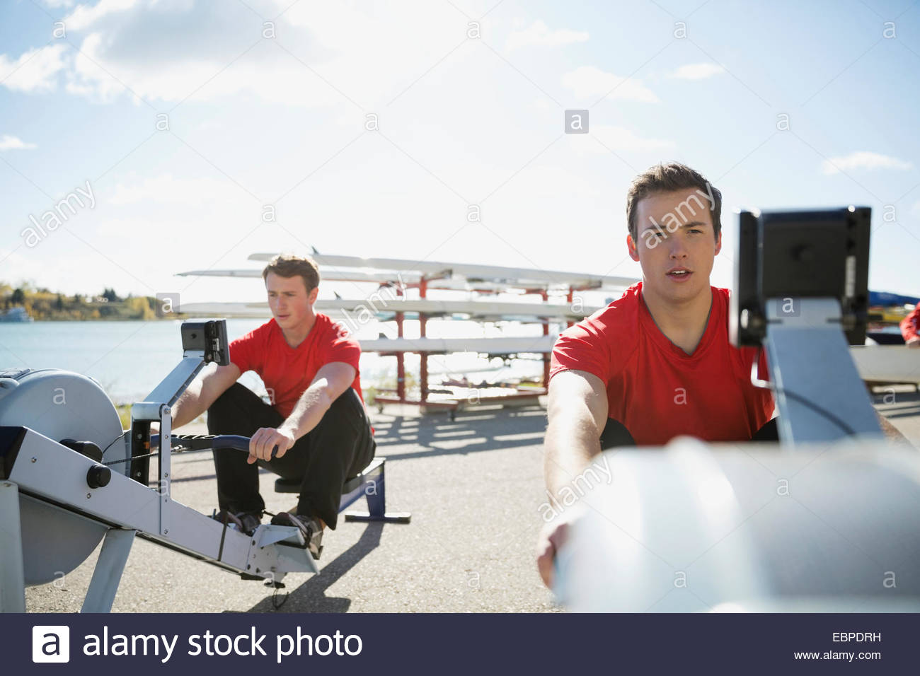 Rowers exercising on rowing machines outdoors Stock Photo - Alamy