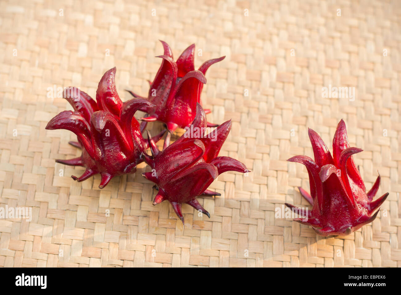 Fresh roselle hi-res stock photography and images - Alamy