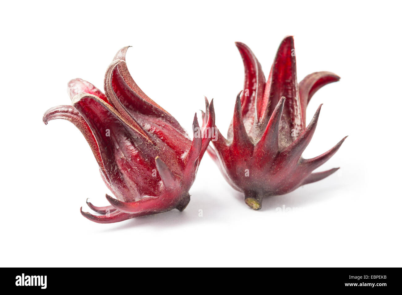 Roselle flower tea Cut Out Stock Images & Pictures - Alamy