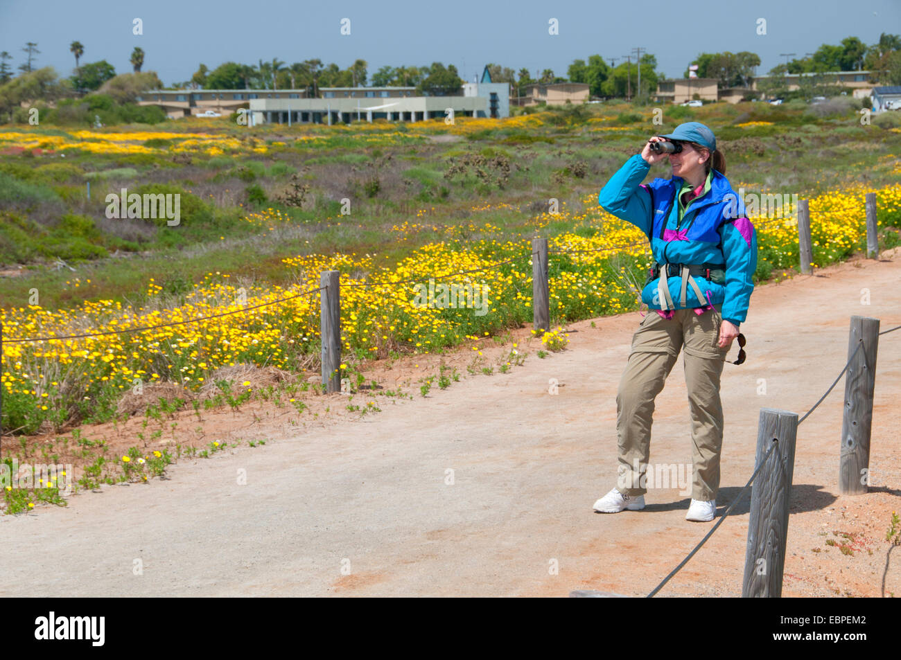 Tijuana slough national wildlife hi-res stock photography and images ...