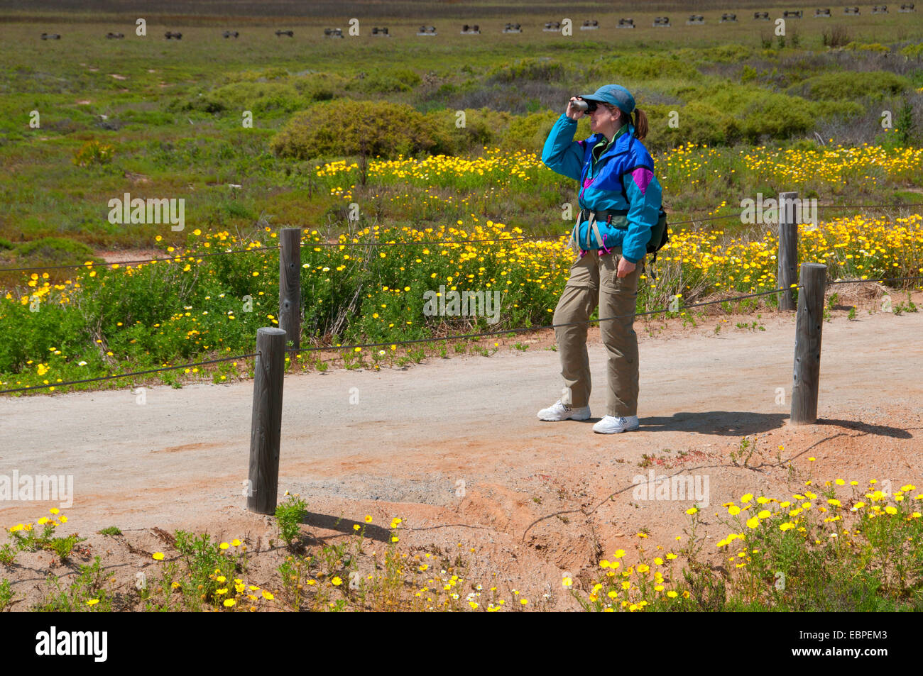 Tijuana slough national wildlife hi-res stock photography and images ...