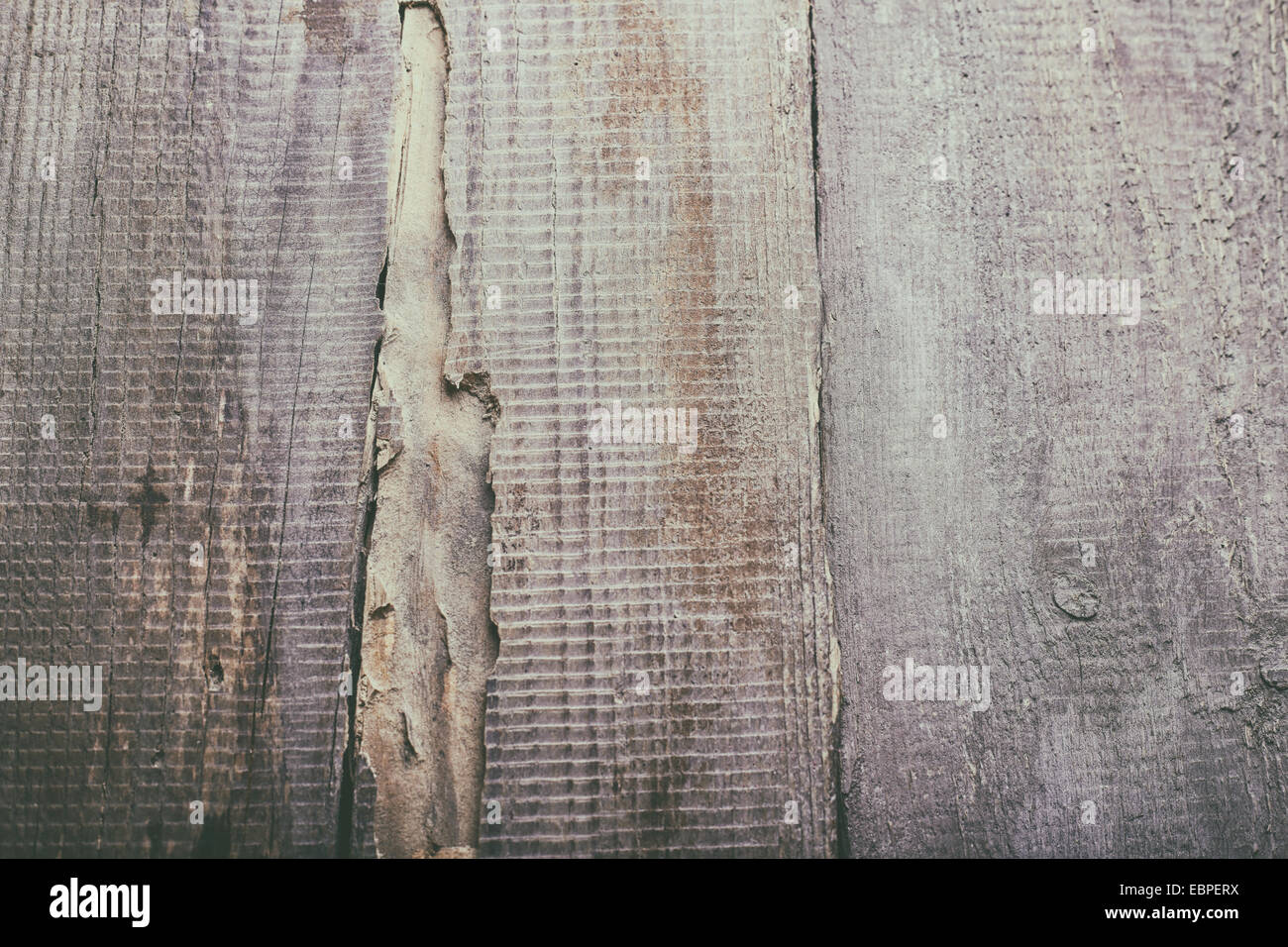 background made of cutted tree texture Stock Photo - Alamy